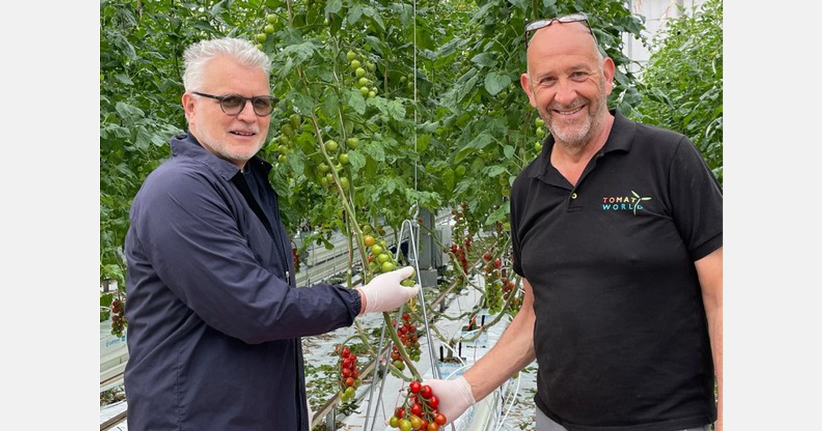 Van Geest International nieuwe afnemer en partner van Tomatoworld