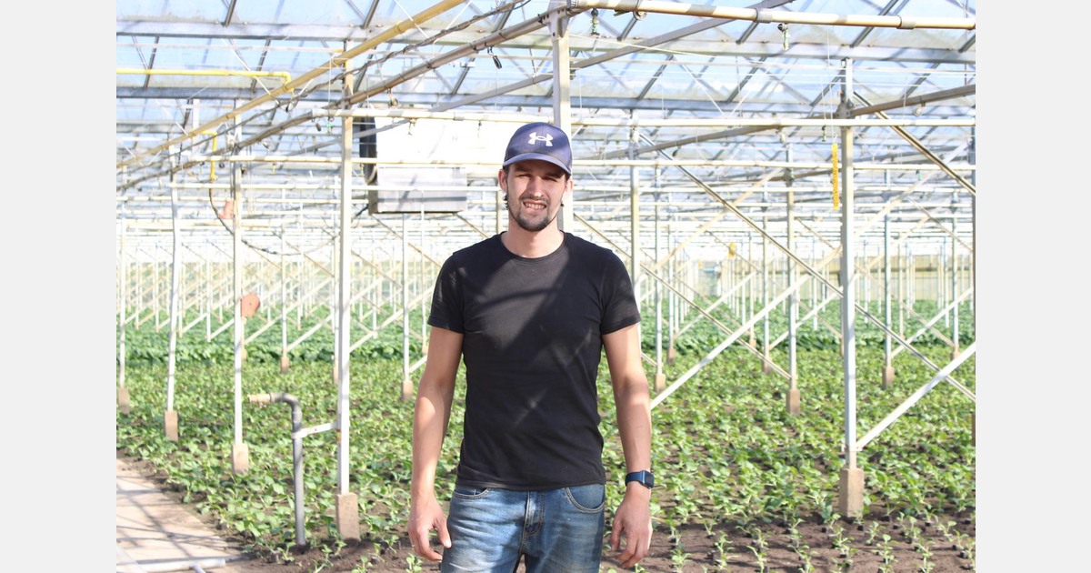 Pim is dertig en wil door met paksoi en postelein in nieuwe kas