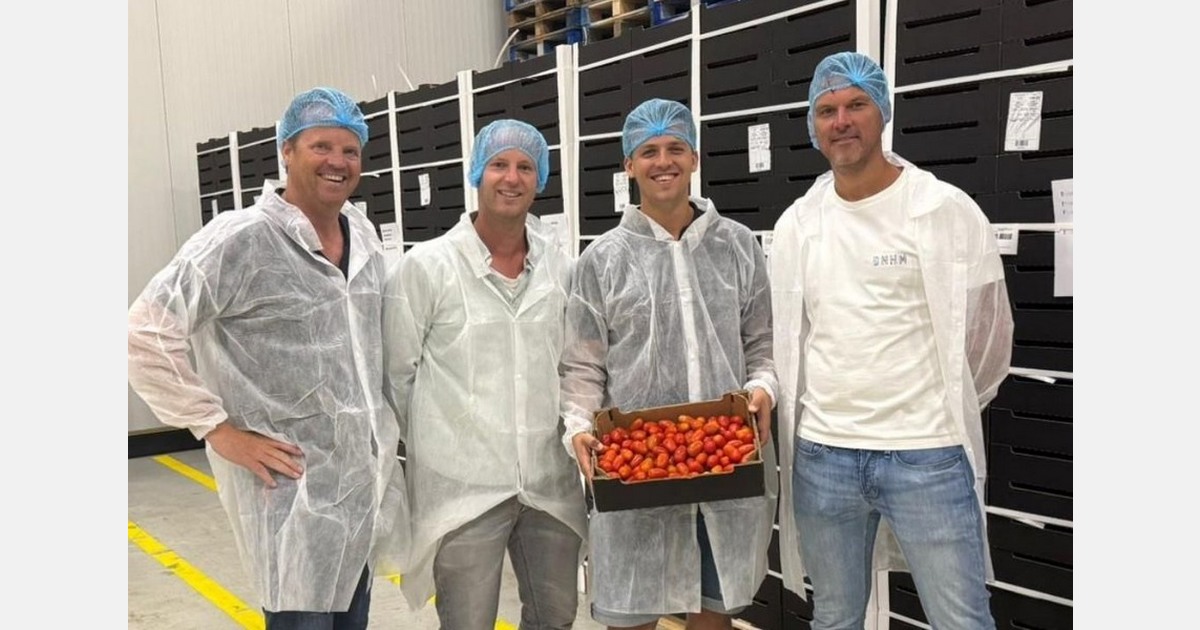 Eerste snacktomaten van Callystar uit Marokko gearriveerd bij Growers ...