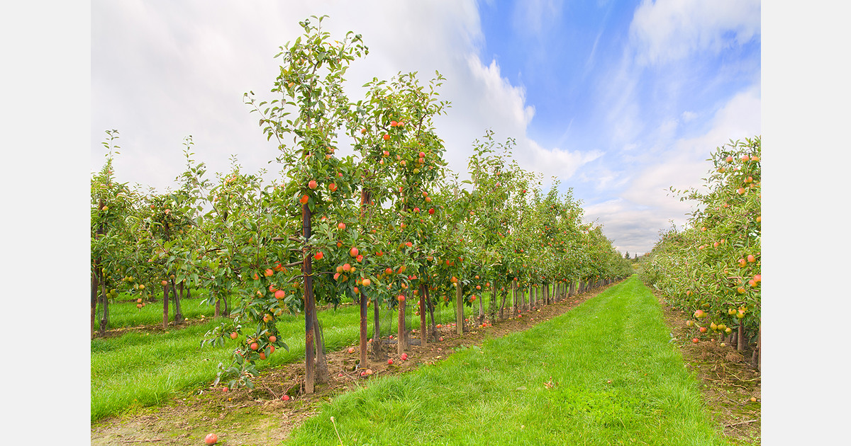 Vrijstellingen Raptol en Curatio gepubliceerd