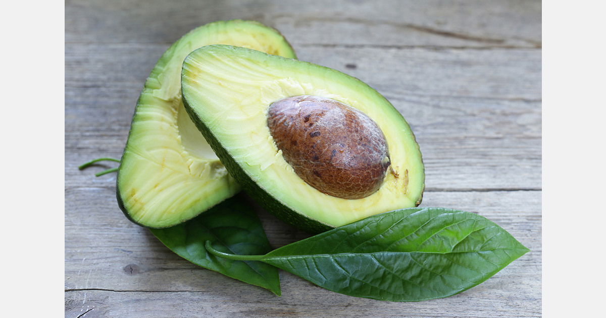 Gelijke Peruaanse avocado-export verwacht