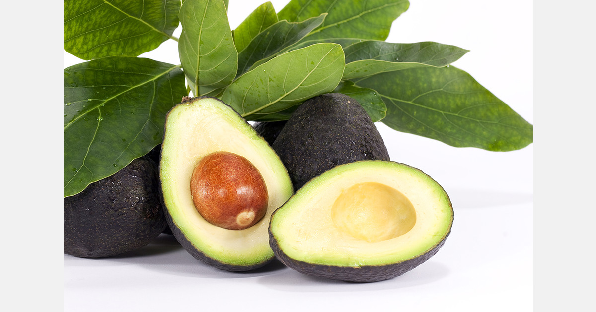 Minder grote daling Peruaanse export Hass avocado's dan geraamd