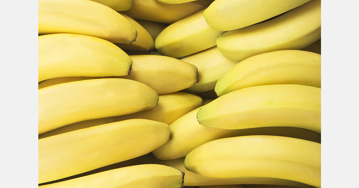 Bananen uit Panama op €1,18