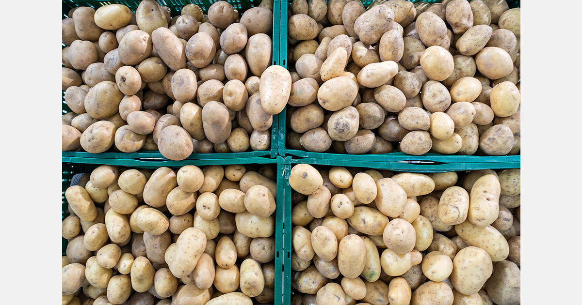 Wit-Rusland heft verbod op import van aardappelen, uien, kool en ...