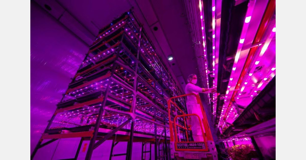 Pink Farms streeft naar 80 verschillende producten in 2024